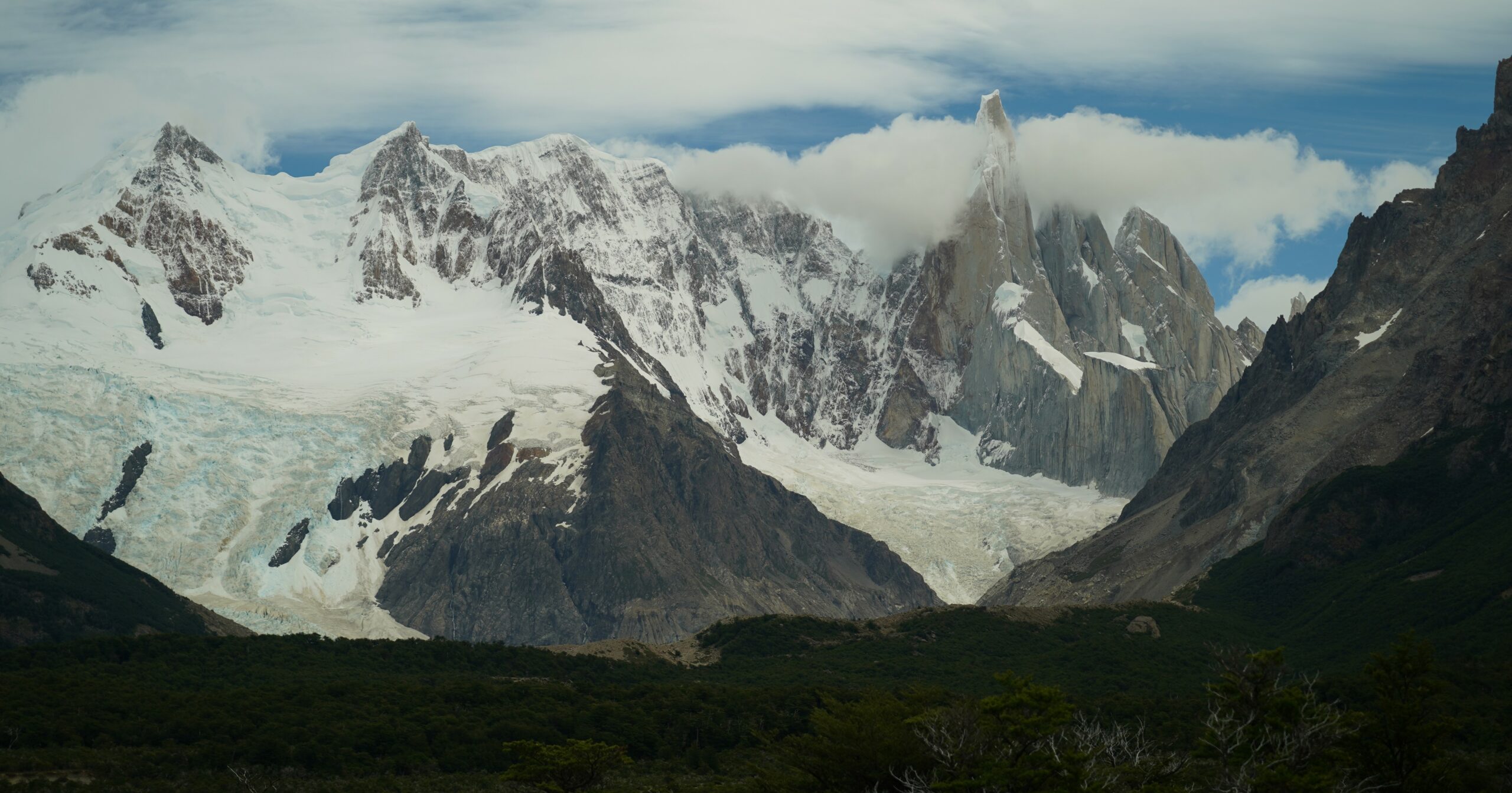 Home - Boreal Europe